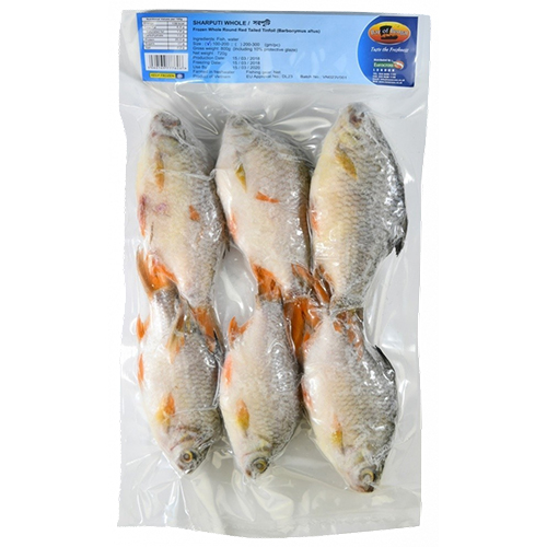 Sharputi Whole 800g Red Tailed - Eurocross